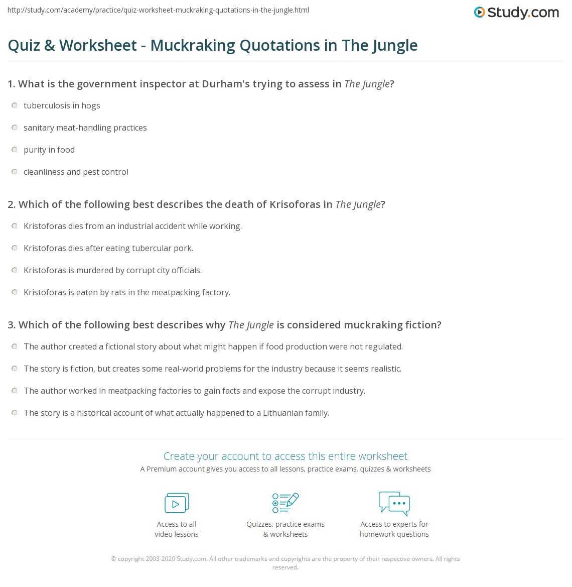 Quiz & Worksheet - Muckraking Quotations in The Jungle | Study.com