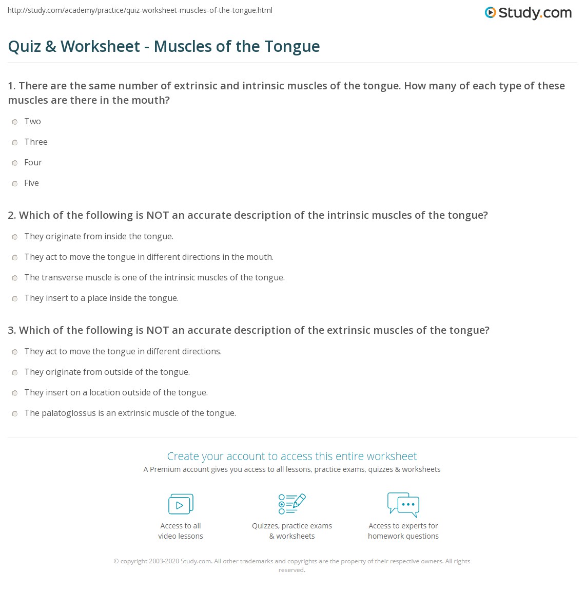 Quiz & Worksheet - Muscles of the Tongue | Study.com