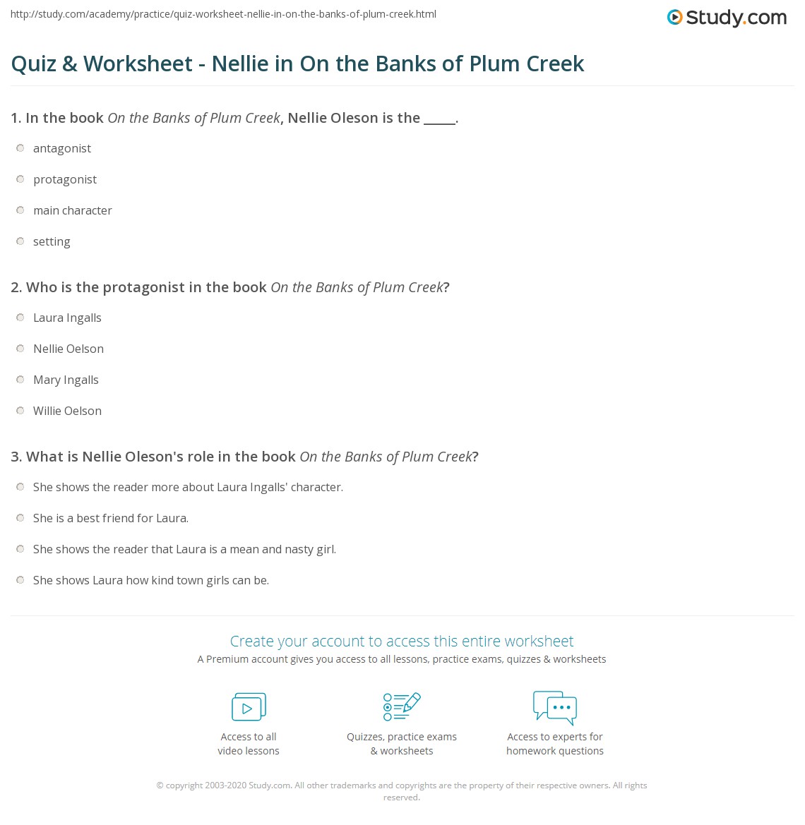 Quiz & Worksheet - Nellie in On the Banks of Plum Creek | Study.com