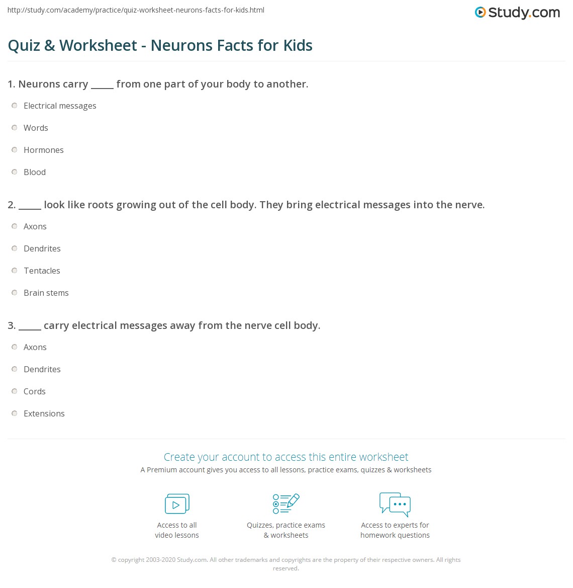 Quiz & Worksheet - Neurons Facts for Kids | Study.com