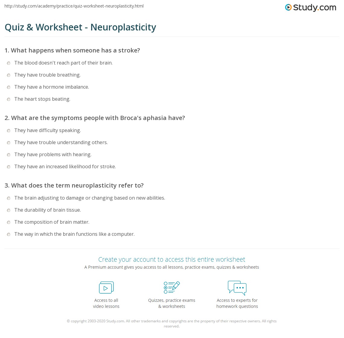 Quiz & Worksheet - Neuroplasticity | Study.com