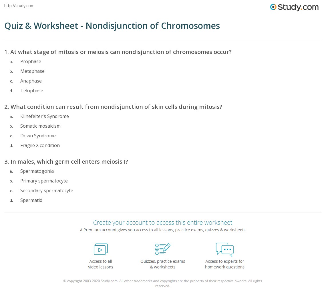 Quiz & Worksheet - Nondisjunction of Chromosomes | Study.com