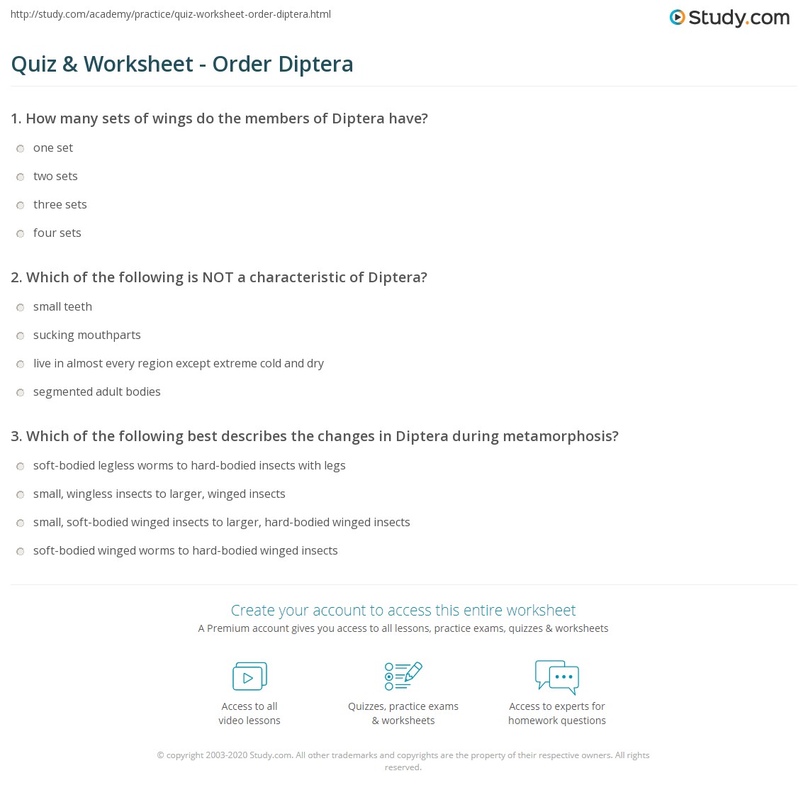 Quiz & Worksheet - Order Diptera | Study.com