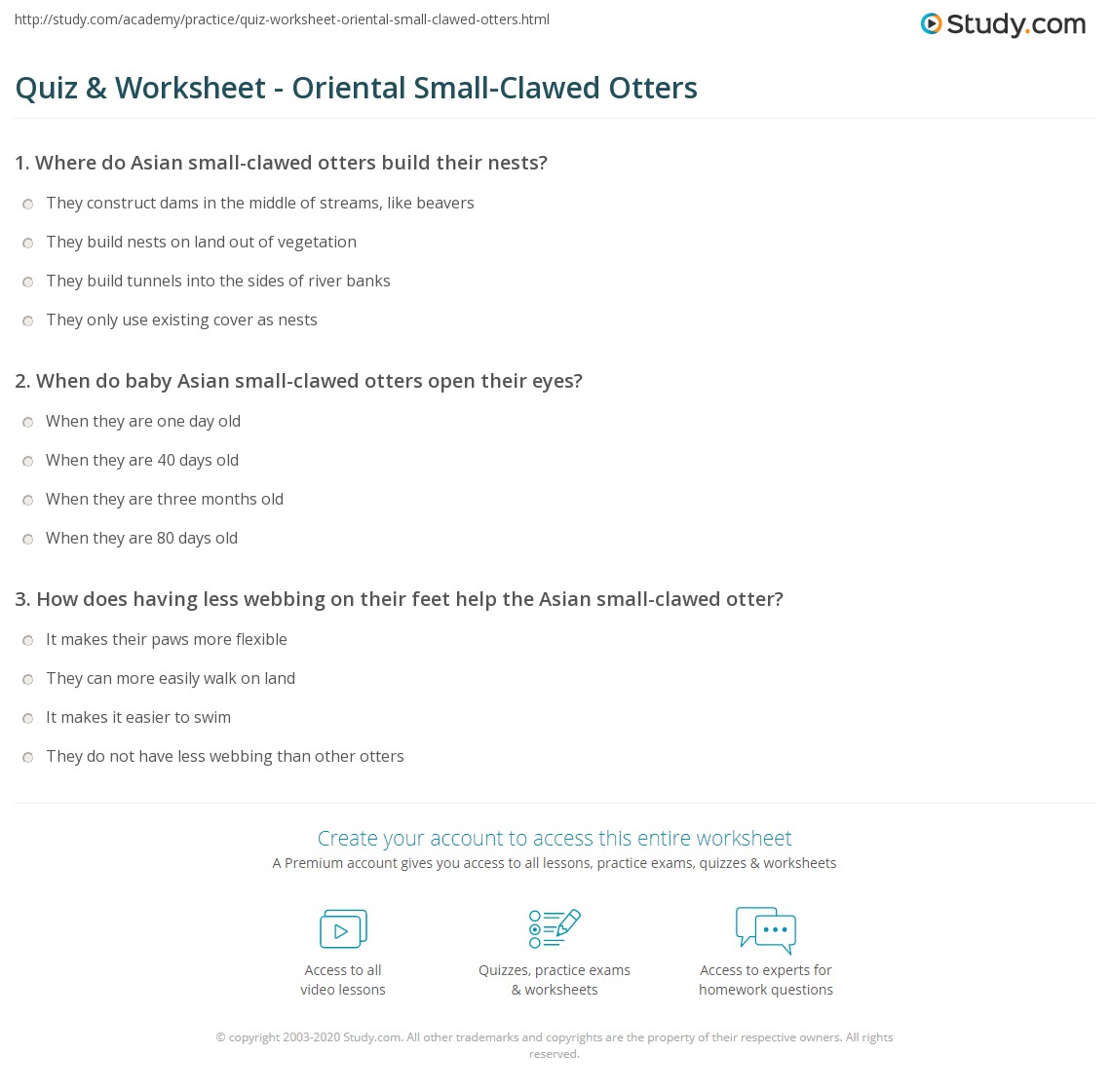 Quiz & Worksheet - Oriental Small-Clawed Otters | Study.com