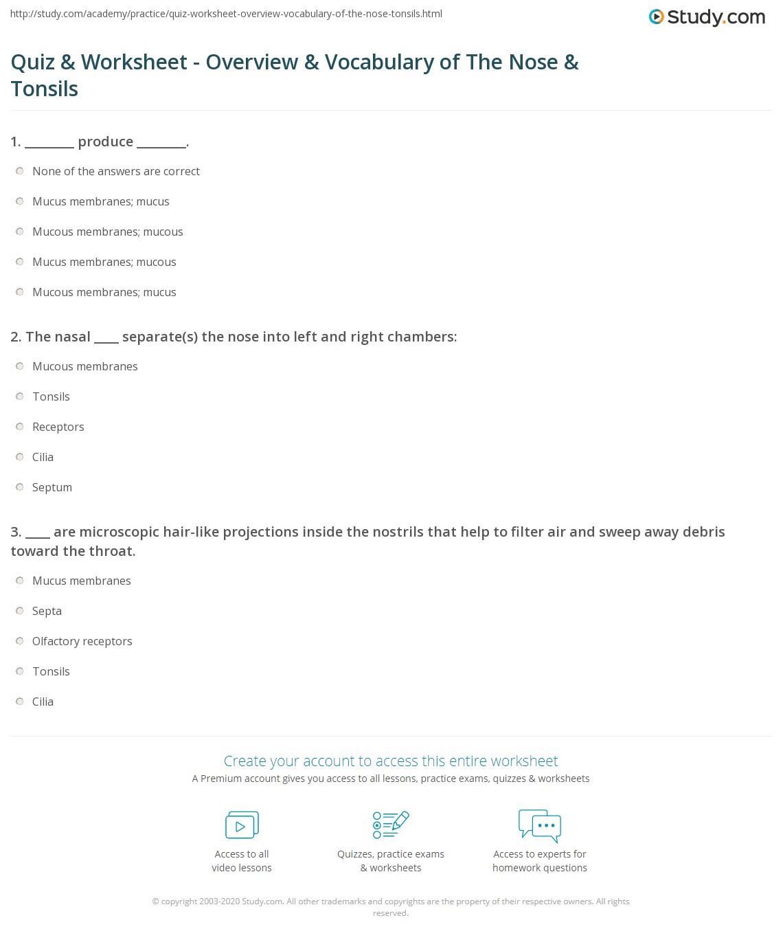 Quiz & Worksheet - Overview & Vocabulary of The Nose & Tonsils | Study.com