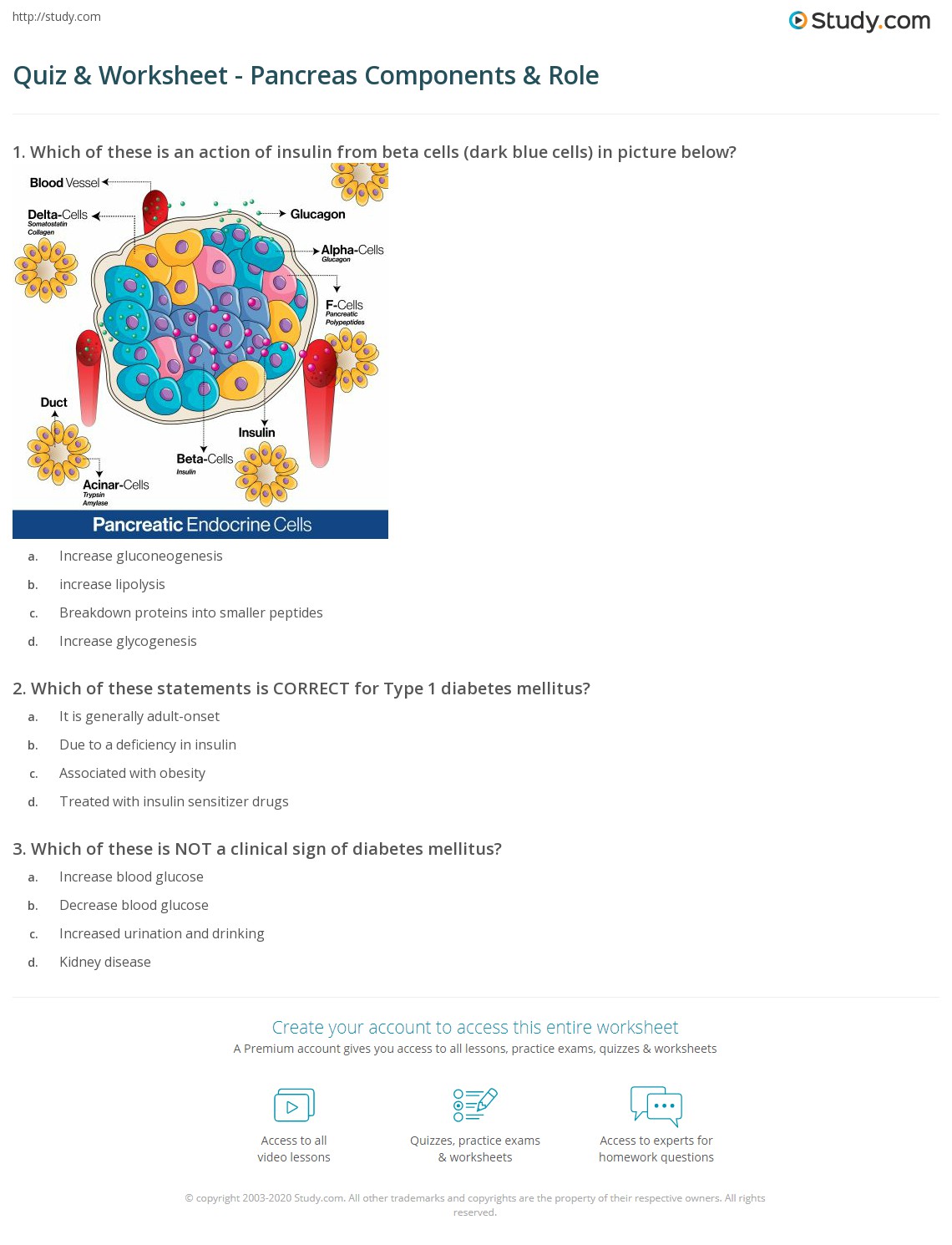 Quiz & Worksheet - Pancreas Components & Role | Study.com
