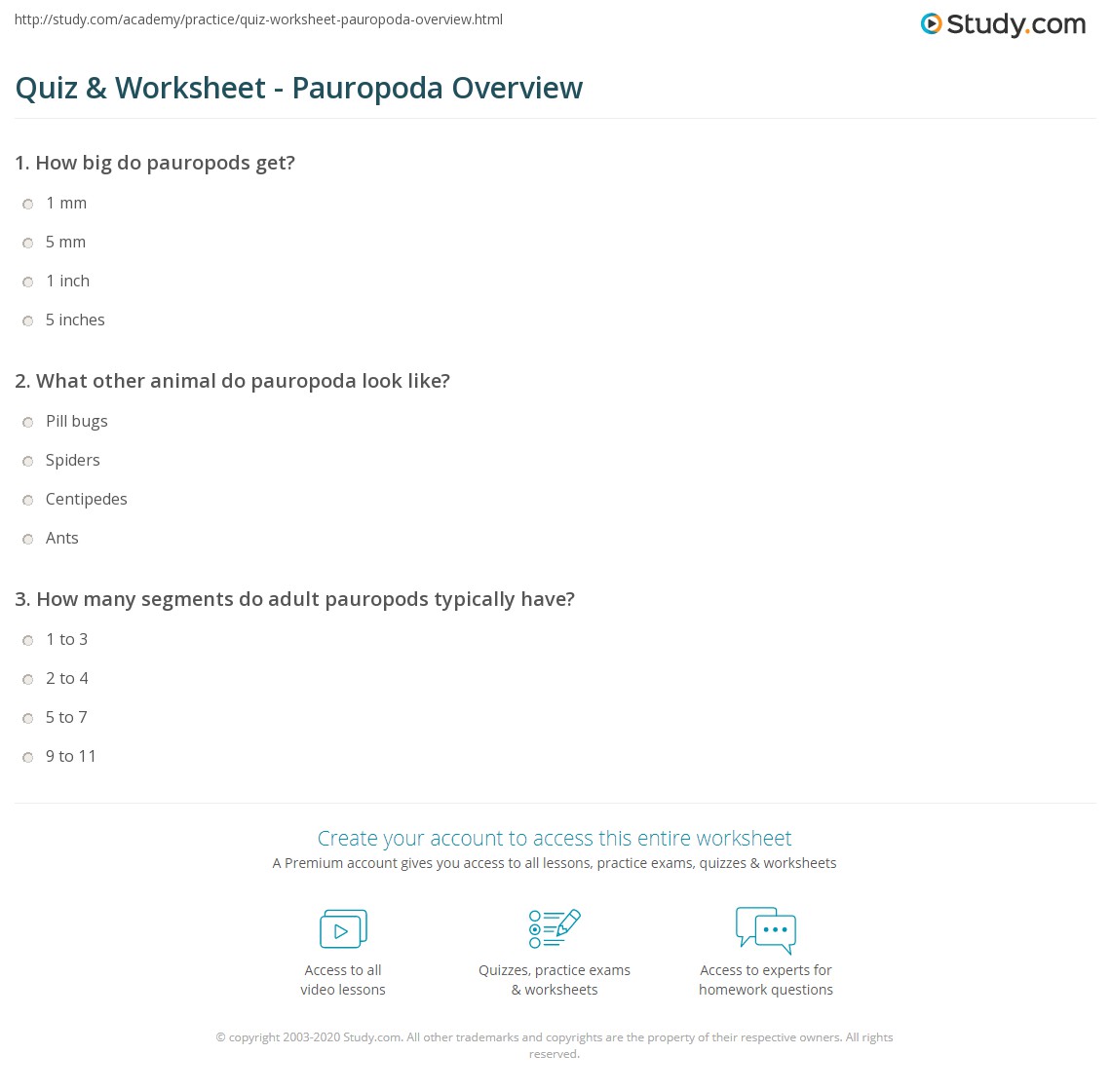 Quiz & Worksheet - Pauropoda Overview | Study.com
