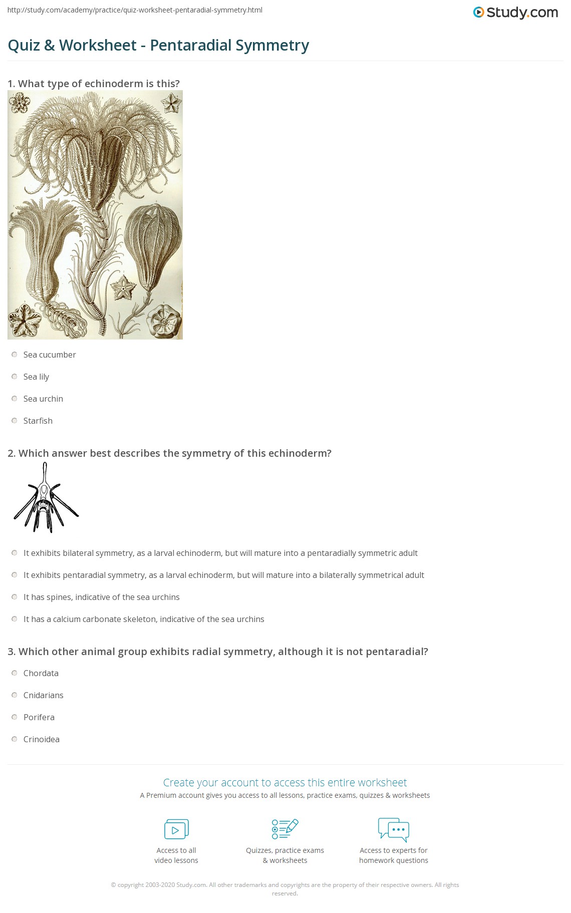 Quiz & Worksheet - Pentaradial Symmetry | Study.com