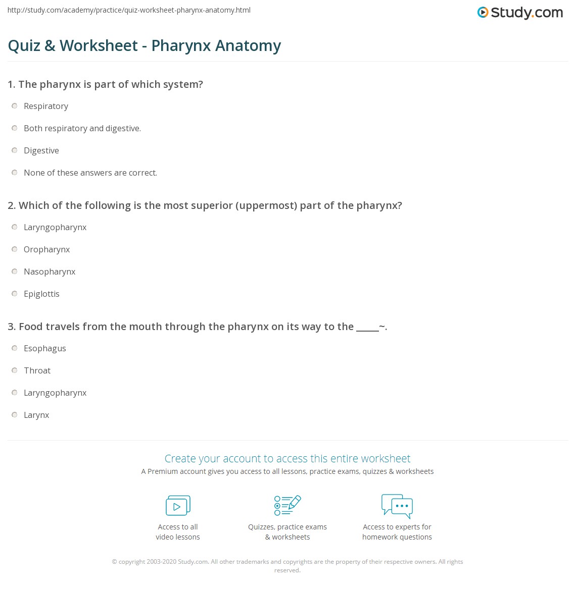Quiz & Worksheet - Pharynx Anatomy | Study.com