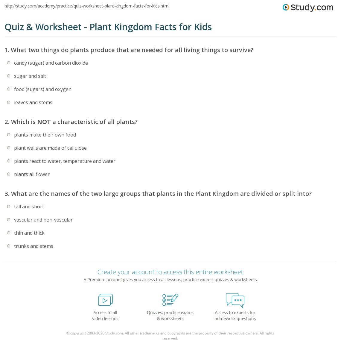 Quiz Worksheet Plant Kingdom Facts For Kids Study Quiz Worksheet Plant Kingdom Facts For Kids Study