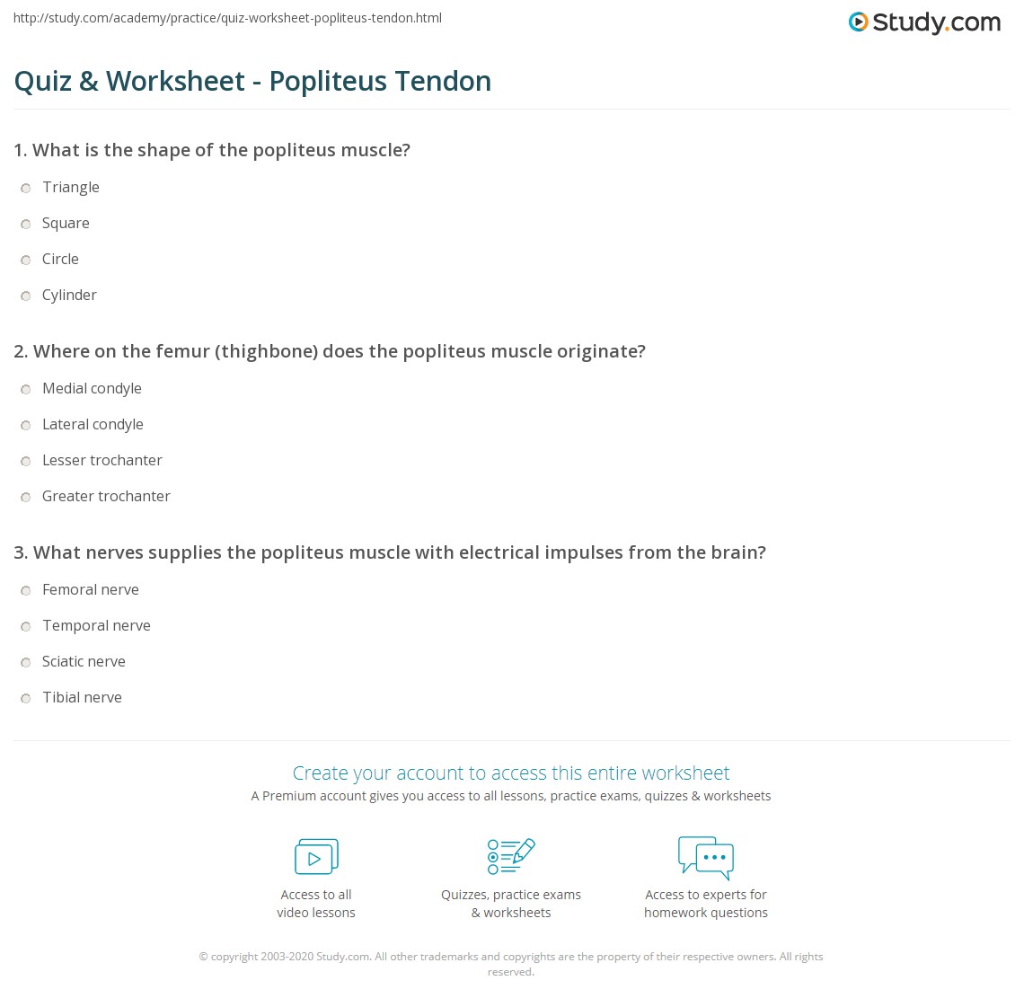 Quiz & Worksheet - Popliteus Tendon | Study.com
