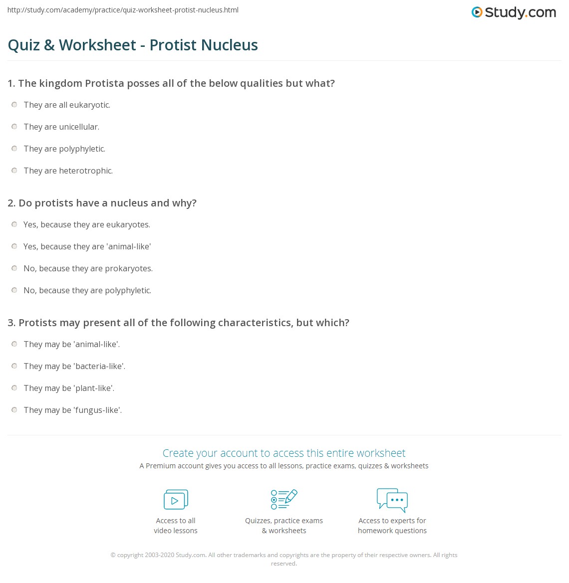 Quiz & Worksheet - Protist Nucleus | Study.com