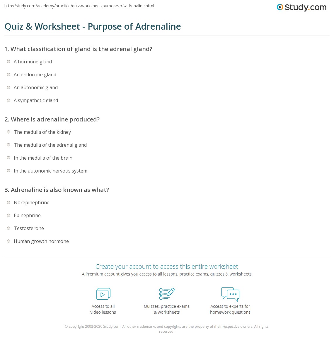 Quiz & Worksheet - Purpose of Adrenaline | Study.com