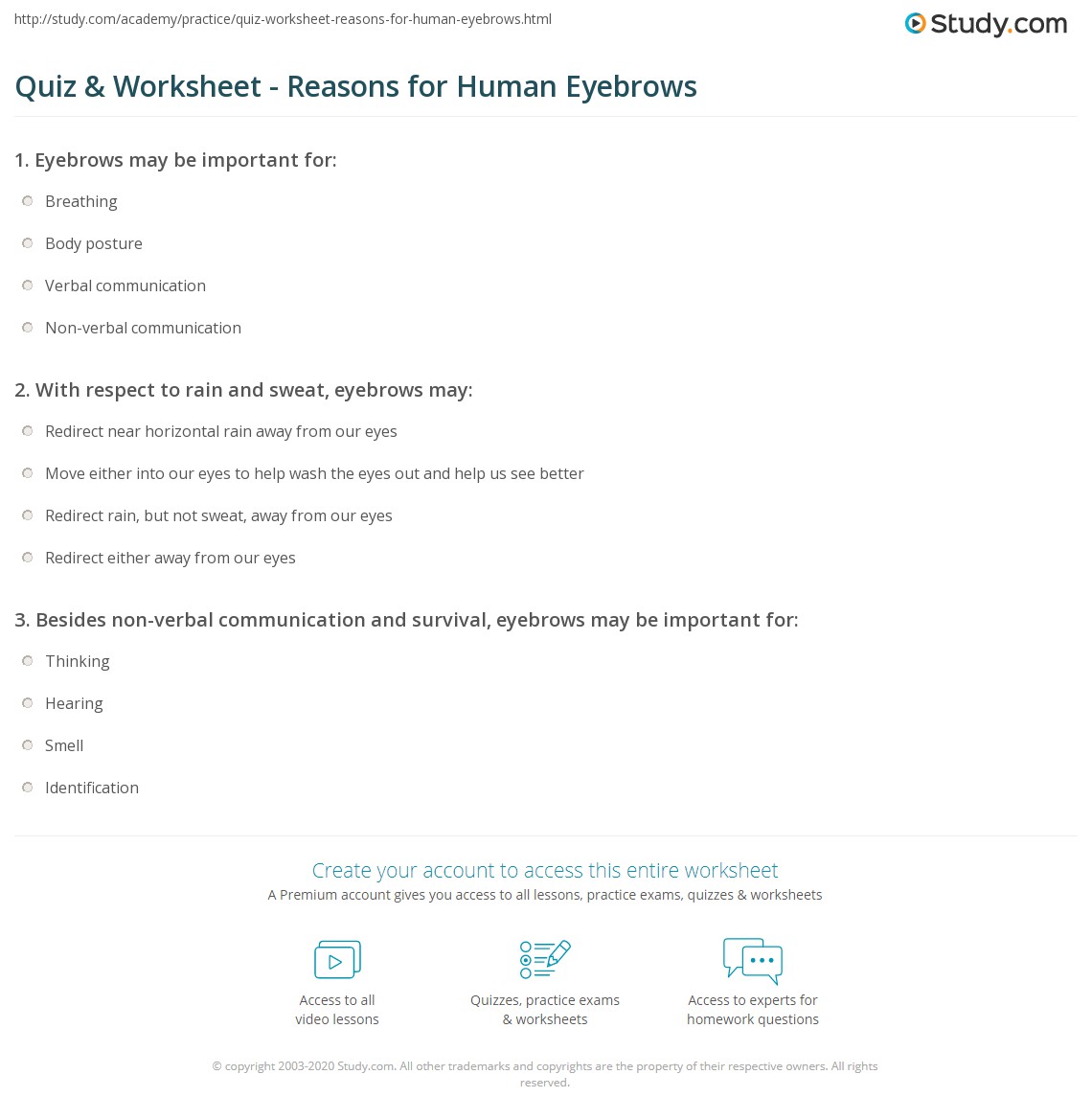 Quiz & Worksheet - Reasons for Human Eyebrows | Study.com