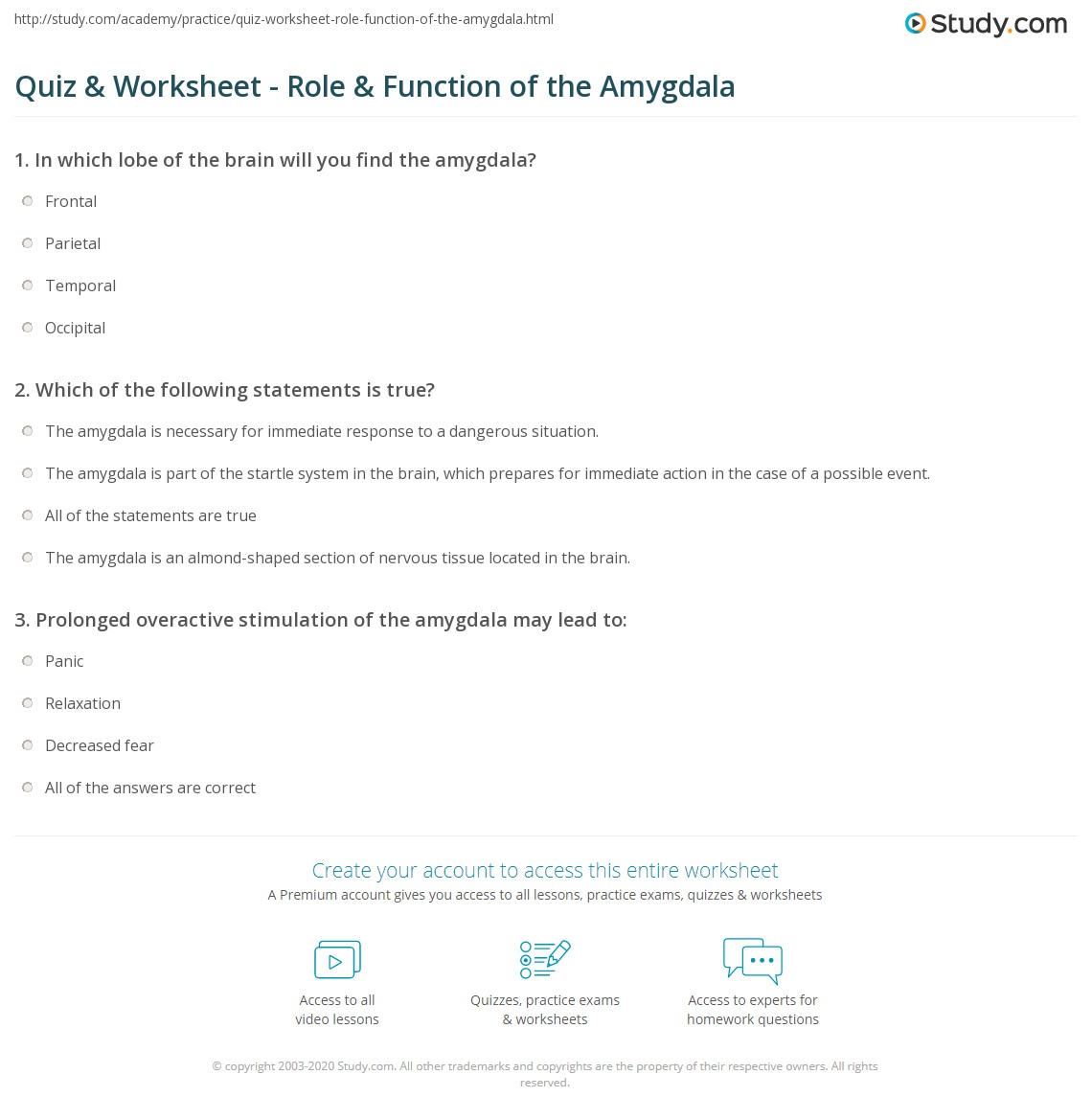Quiz & Worksheet - Role & Function of the Amygdala | Study.com