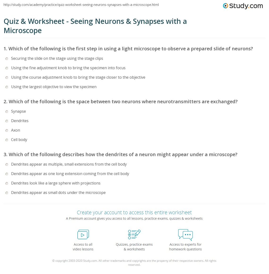 Quiz & Worksheet - Seeing Neurons & Synapses with a Microscope | Study.com