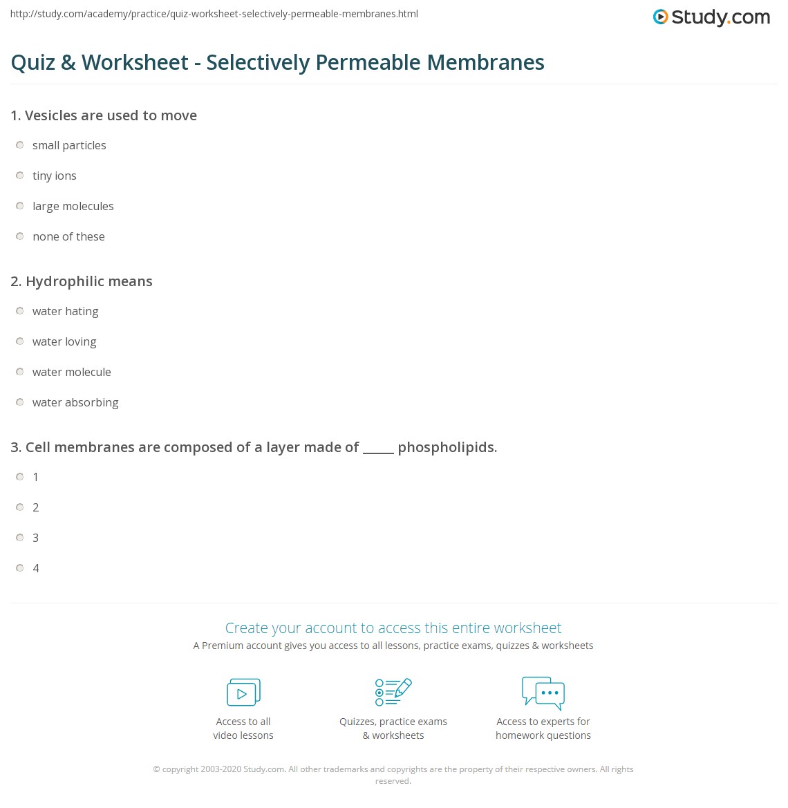 Quiz & Worksheet - Selectively Permeable Membranes | Study.com