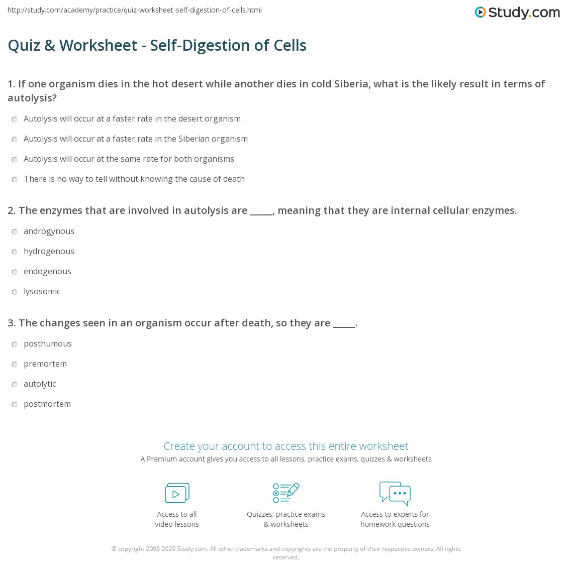Quiz & Worksheet - Self-Digestion of Cells | Study.com