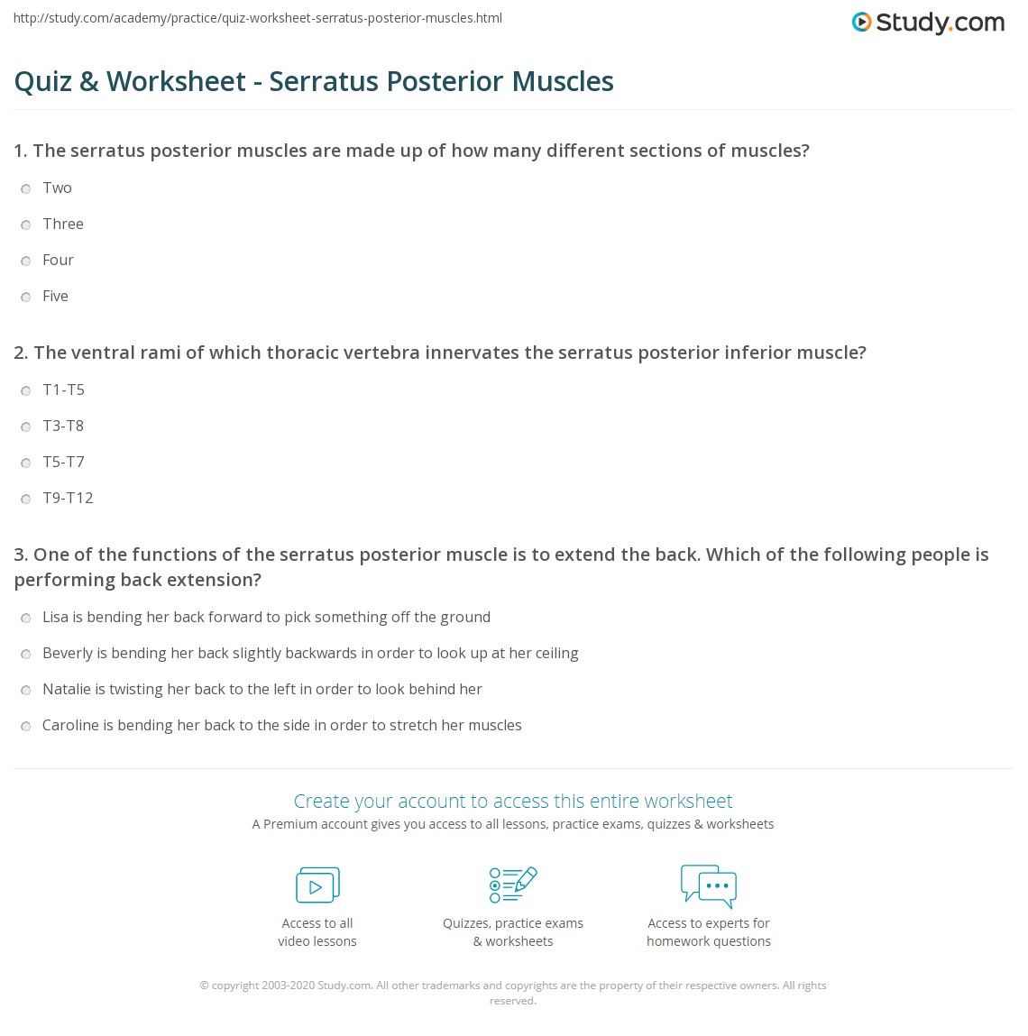 Quiz & Worksheet - Serratus Posterior Muscles | Study.com