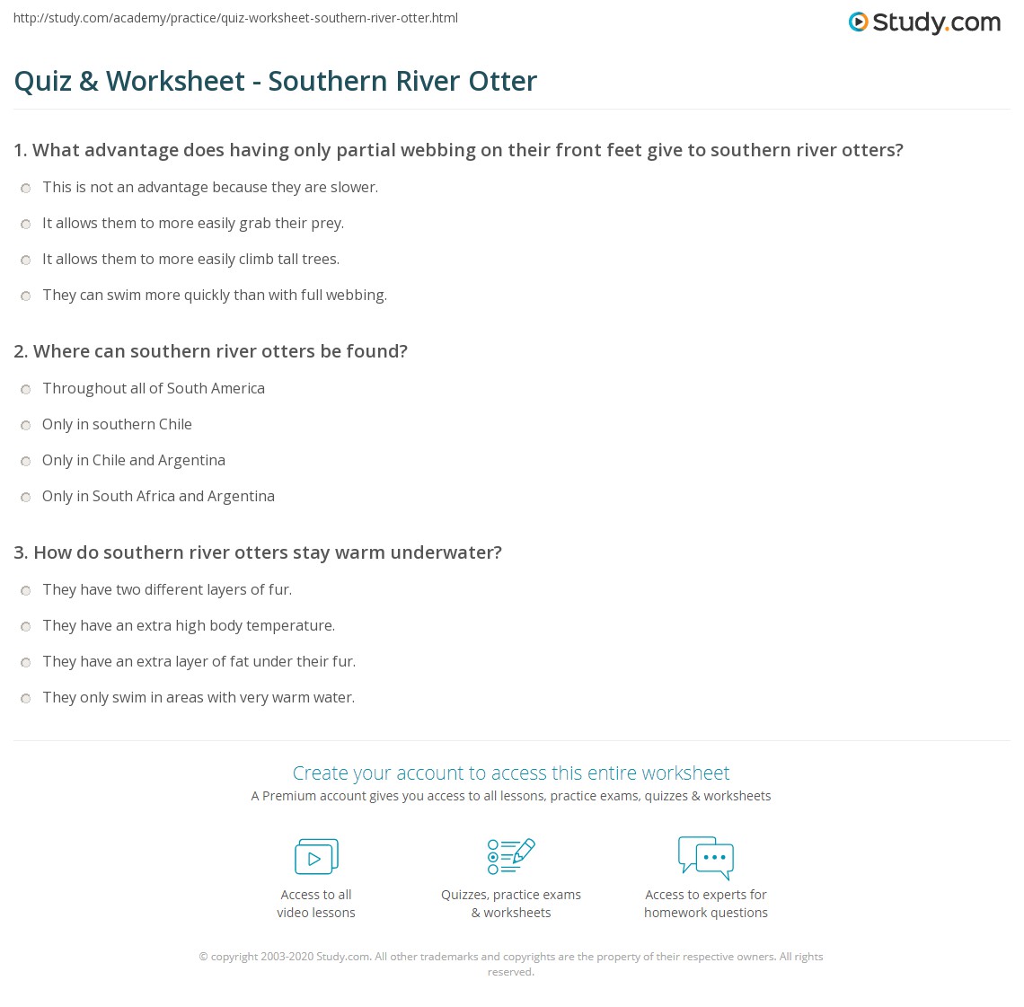 Quiz & Worksheet - Southern River Otter | Study.com