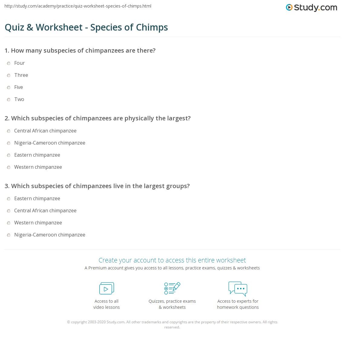 Quiz & Worksheet - Species of Chimps | Study.com