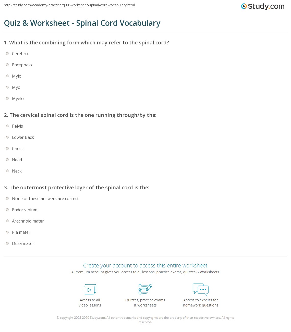 Quiz & Worksheet - Spinal Cord Vocabulary | Study.com