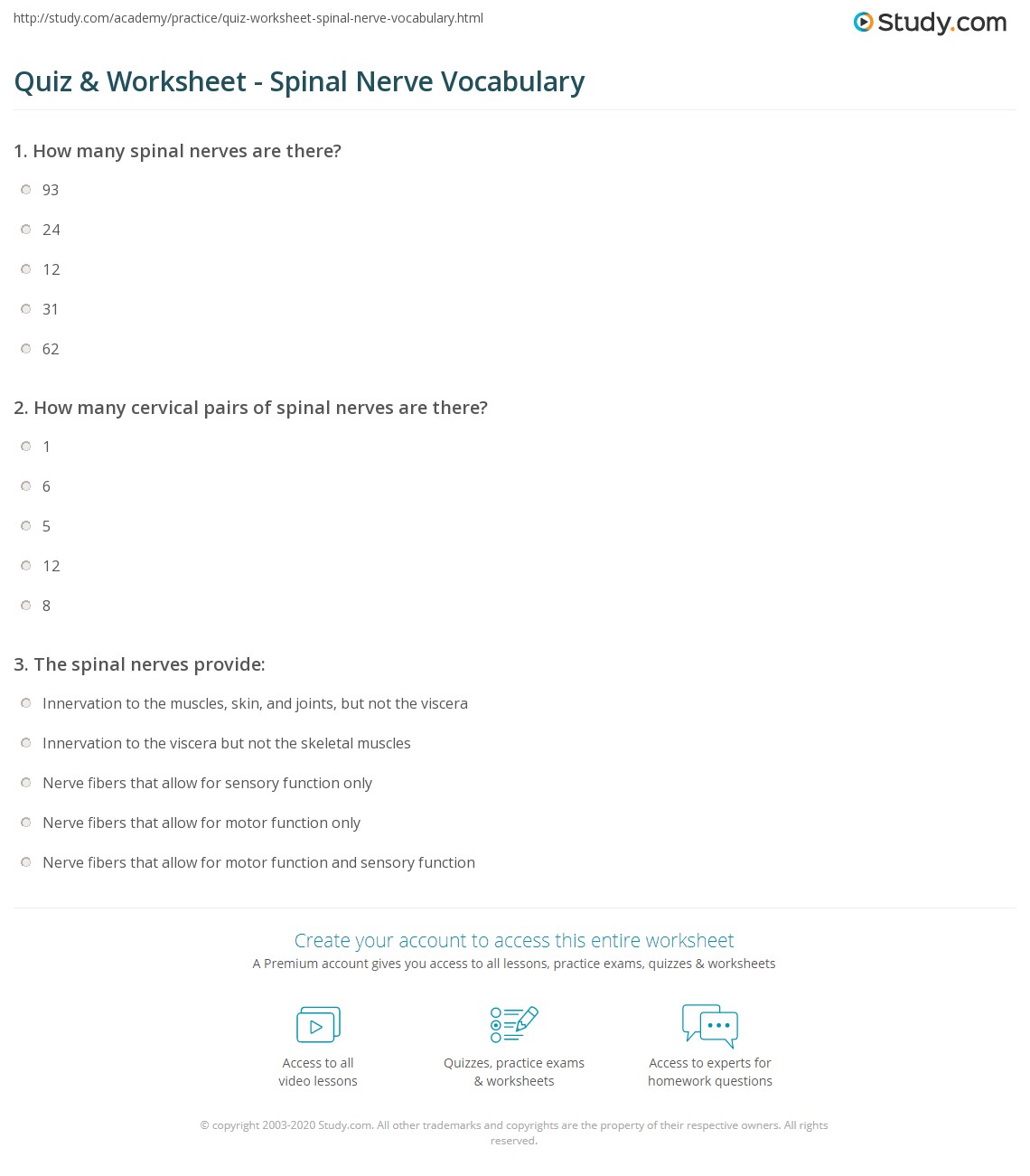 Quiz & Worksheet - Spinal Nerve Vocabulary | Study.com