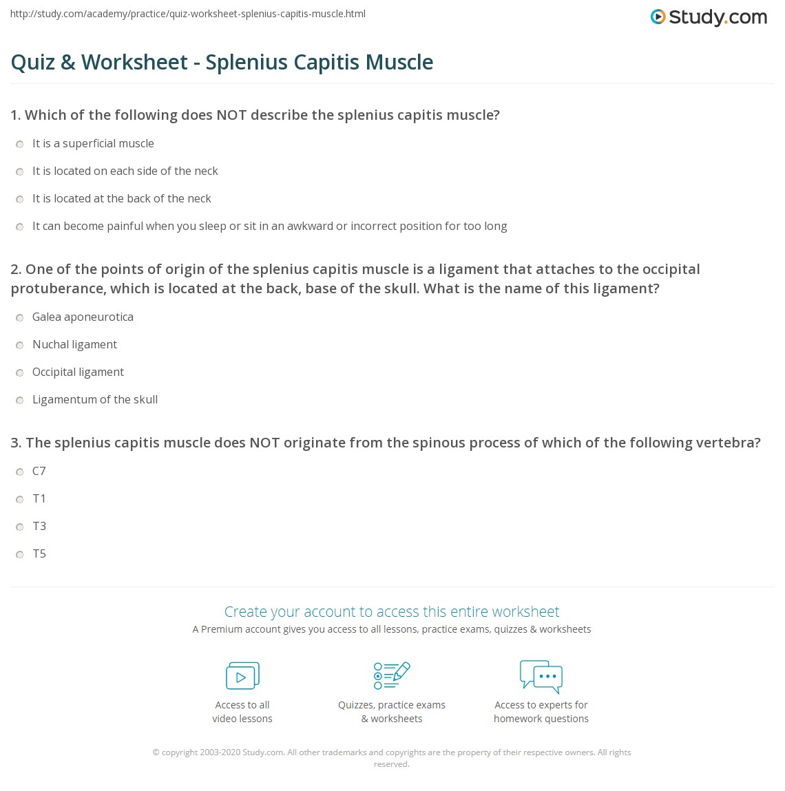 Quiz & Worksheet - Splenius Capitis Muscle | Study.com