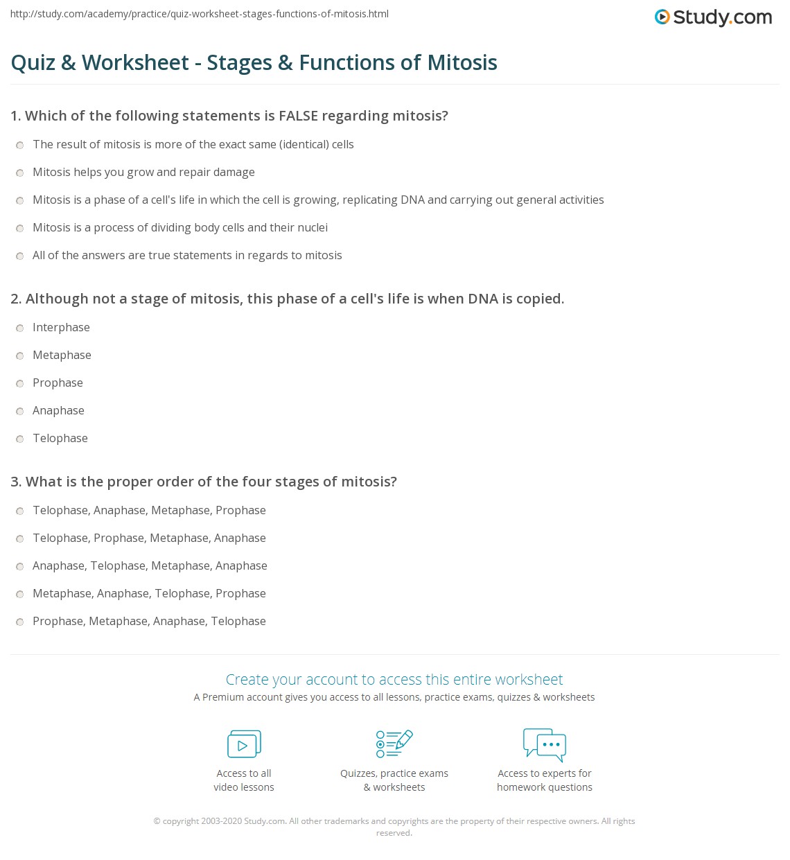 Stages Of Mitosis Worksheet