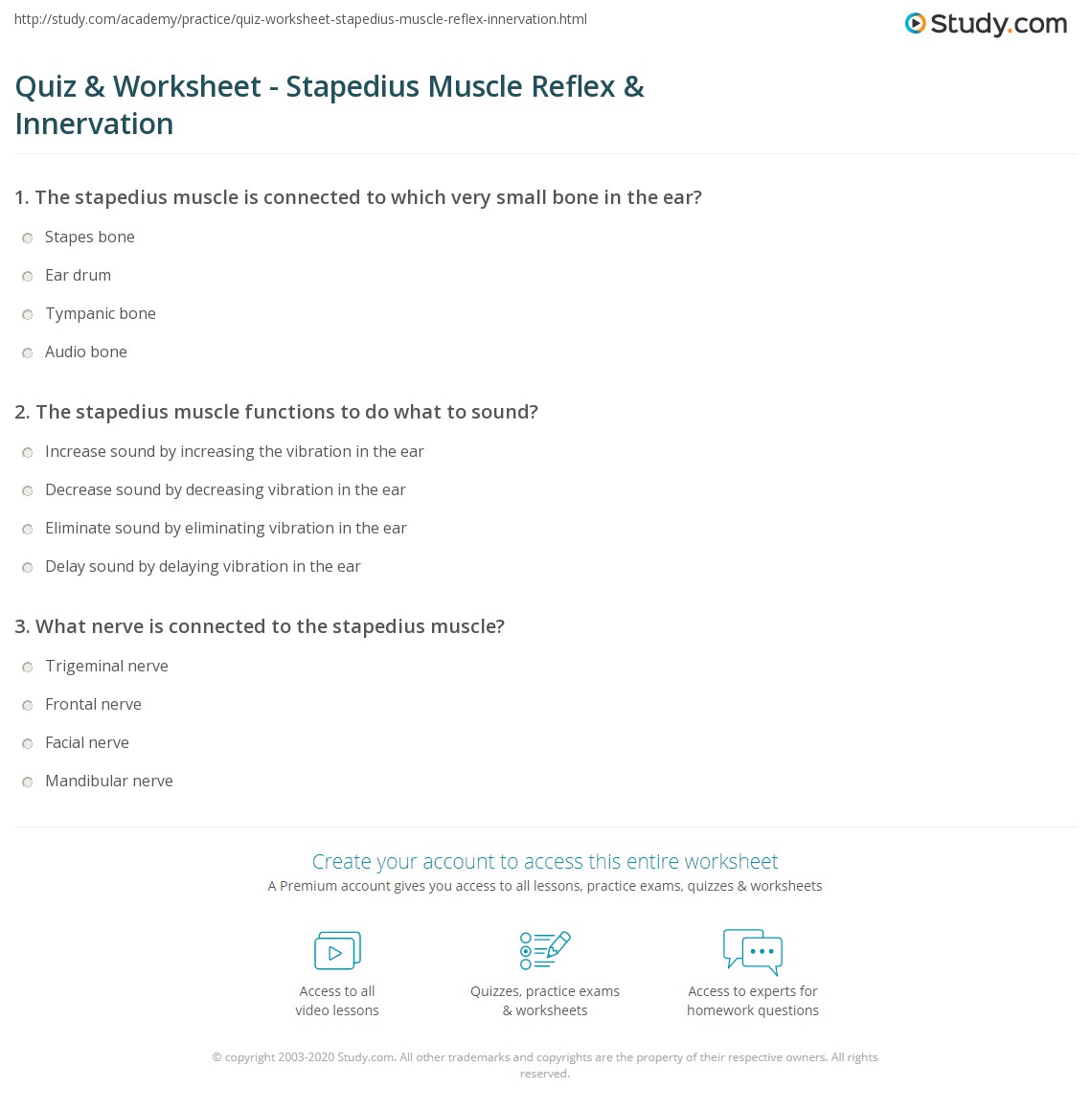 Quiz & Worksheet - Stapedius Muscle Reflex & Innervation | Study.com