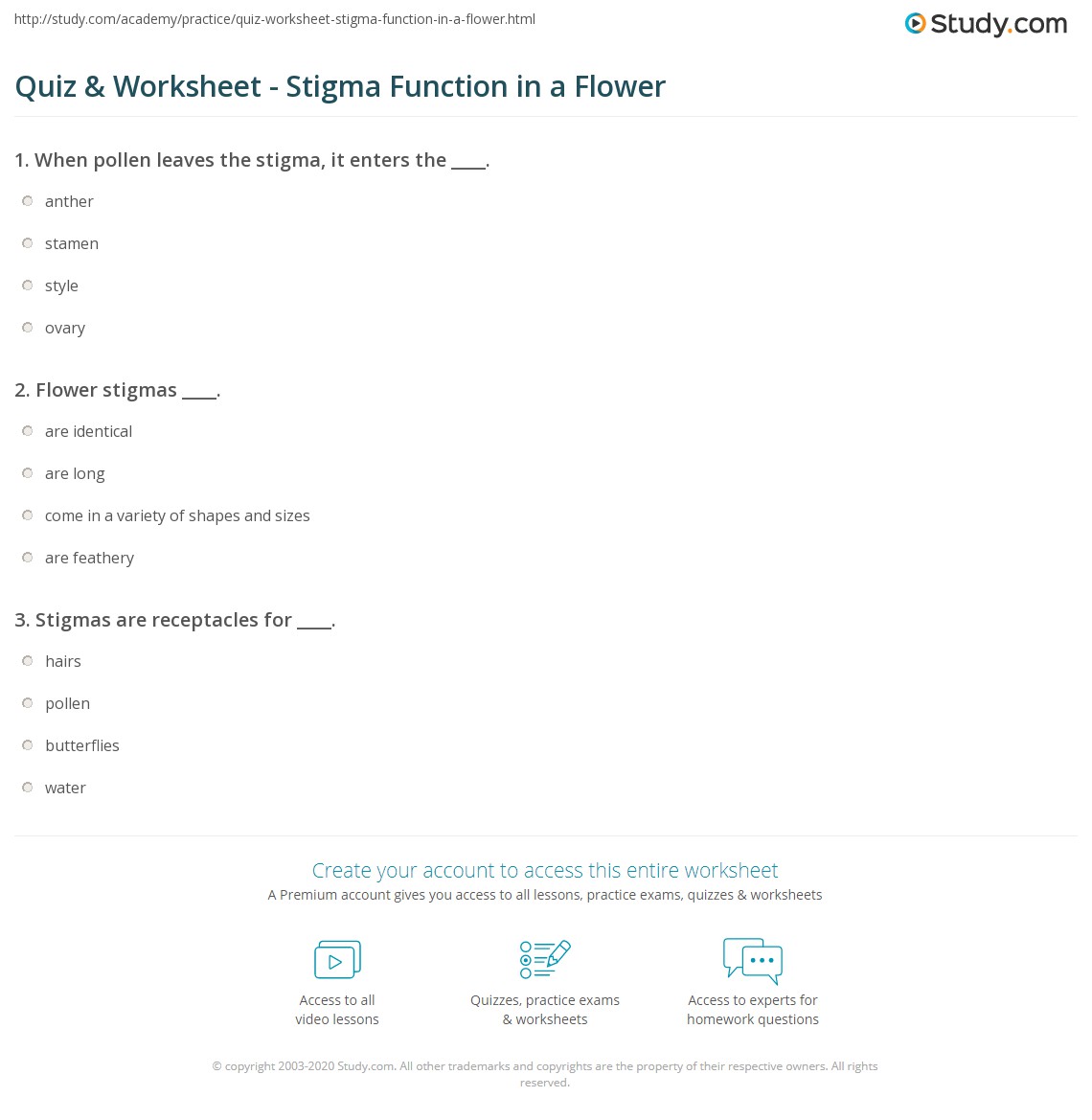 Quiz & Worksheet - Stigma Function in a Flower | Study.com