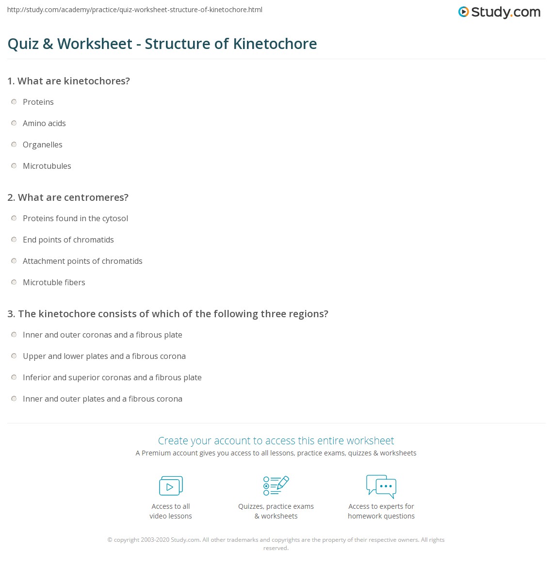 Quiz & Worksheet - Structure of Kinetochore | Study.com