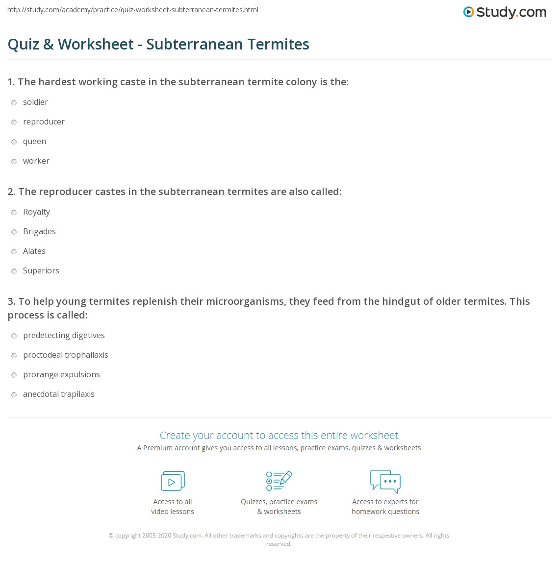 Quiz & Worksheet - Subterranean Termites | Study.com
