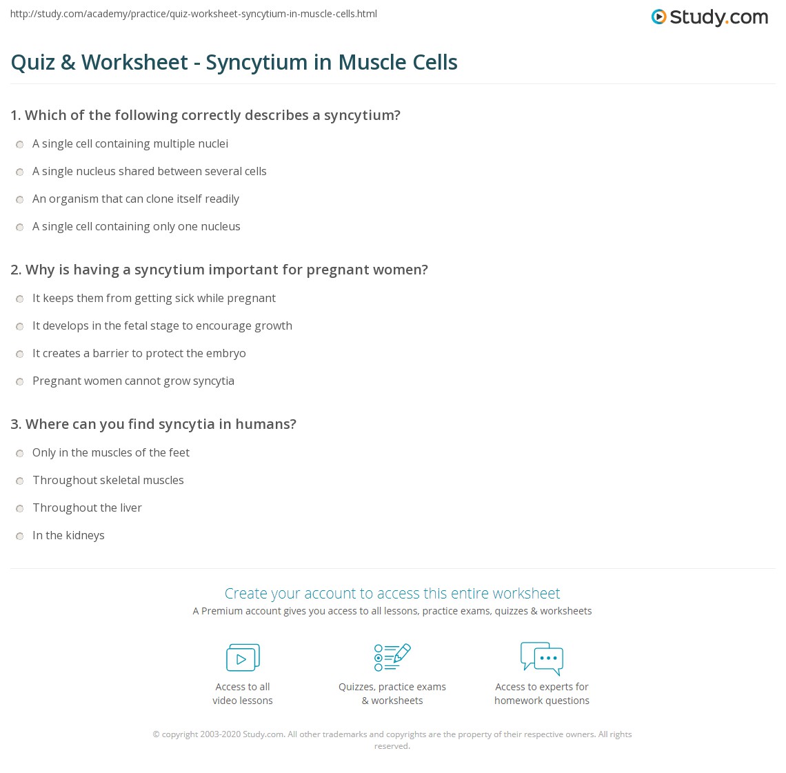 Quiz & Worksheet - Syncytium in Muscle Cells | Study.com