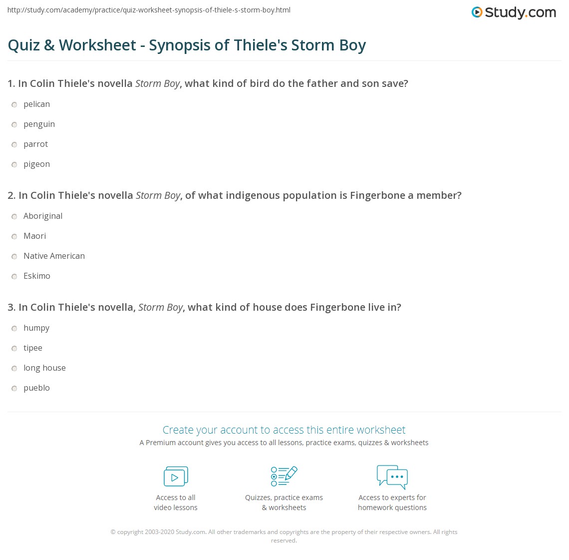Quiz & Worksheet - Synopsis of Thiele's Storm Boy | Study.com