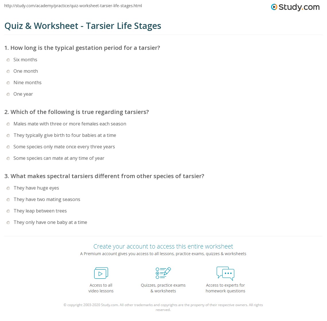 Quiz & Worksheet - Tarsier Life Stages | Study.com