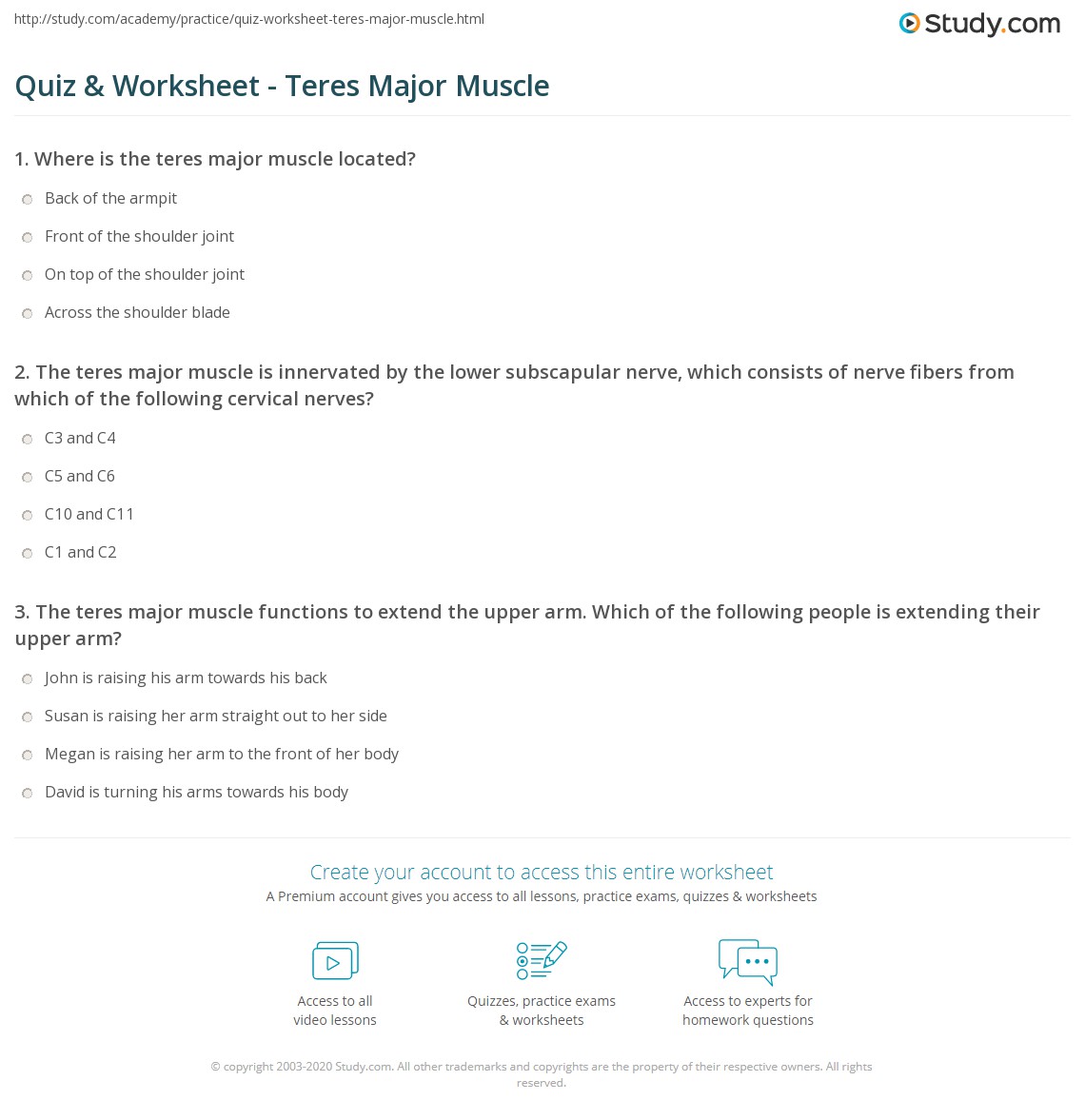 Quiz & Worksheet - Teres Major Muscle | Study.com