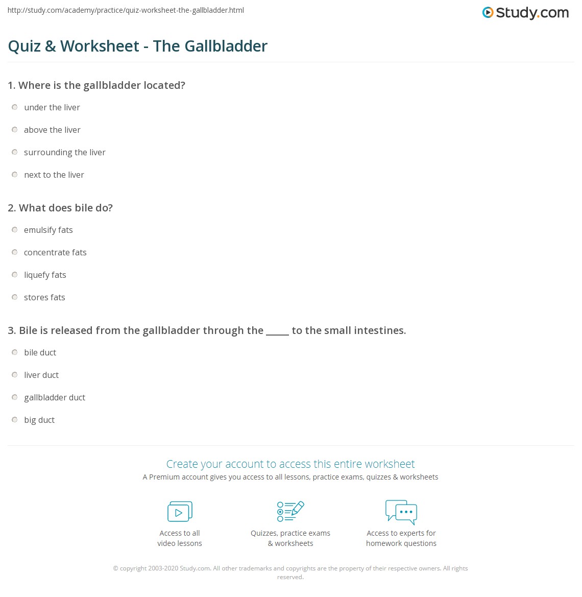 Quiz & Worksheet - The Gallbladder | Study.com