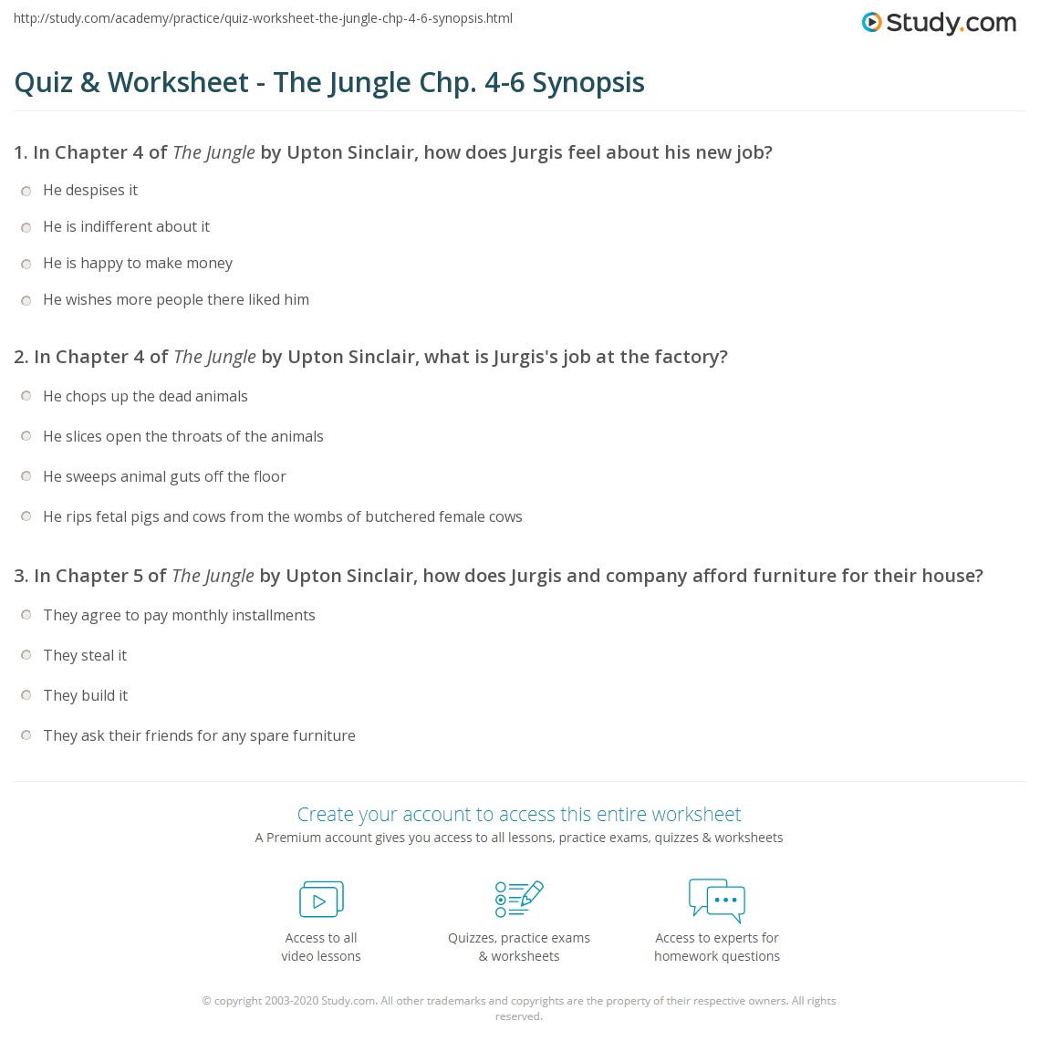 Quiz & Worksheet - The Jungle Chp. 4-6 Synopsis | Study.com