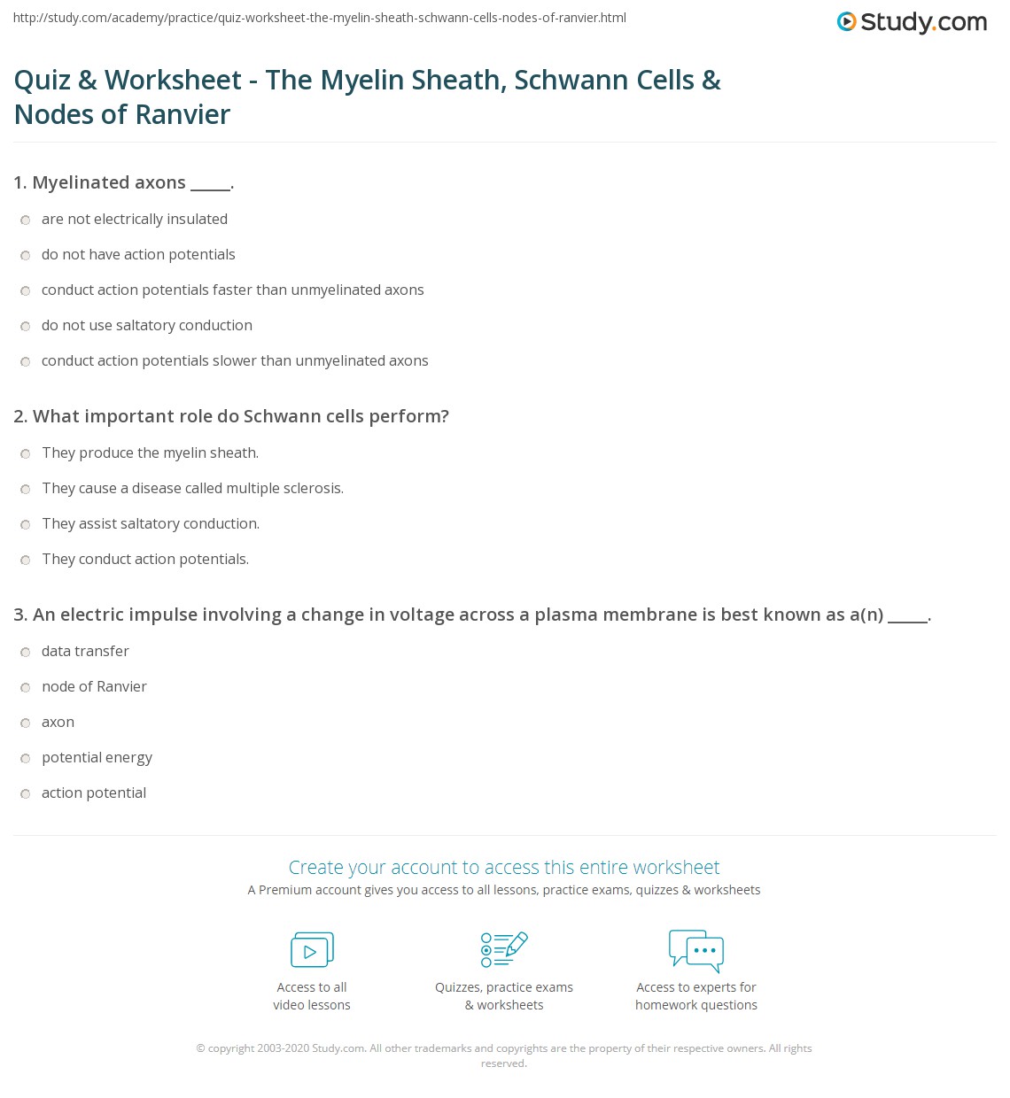 Quiz & Worksheet - The Myelin Sheath, Schwann Cells & Nodes of Ranvier ...