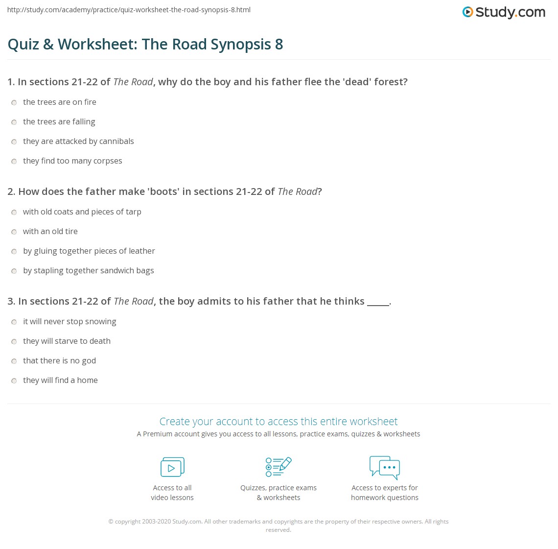 Quiz & Worksheet: The Road Synopsis 8 | Study.com