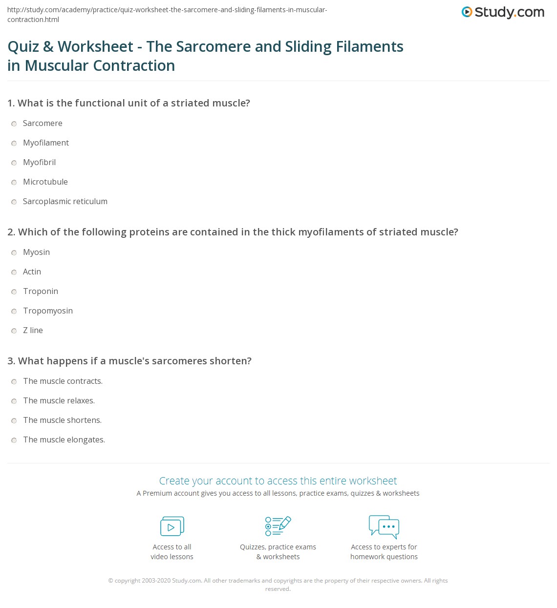 Quiz & Worksheet - The Sarcomere and Sliding Filaments in Muscular ...