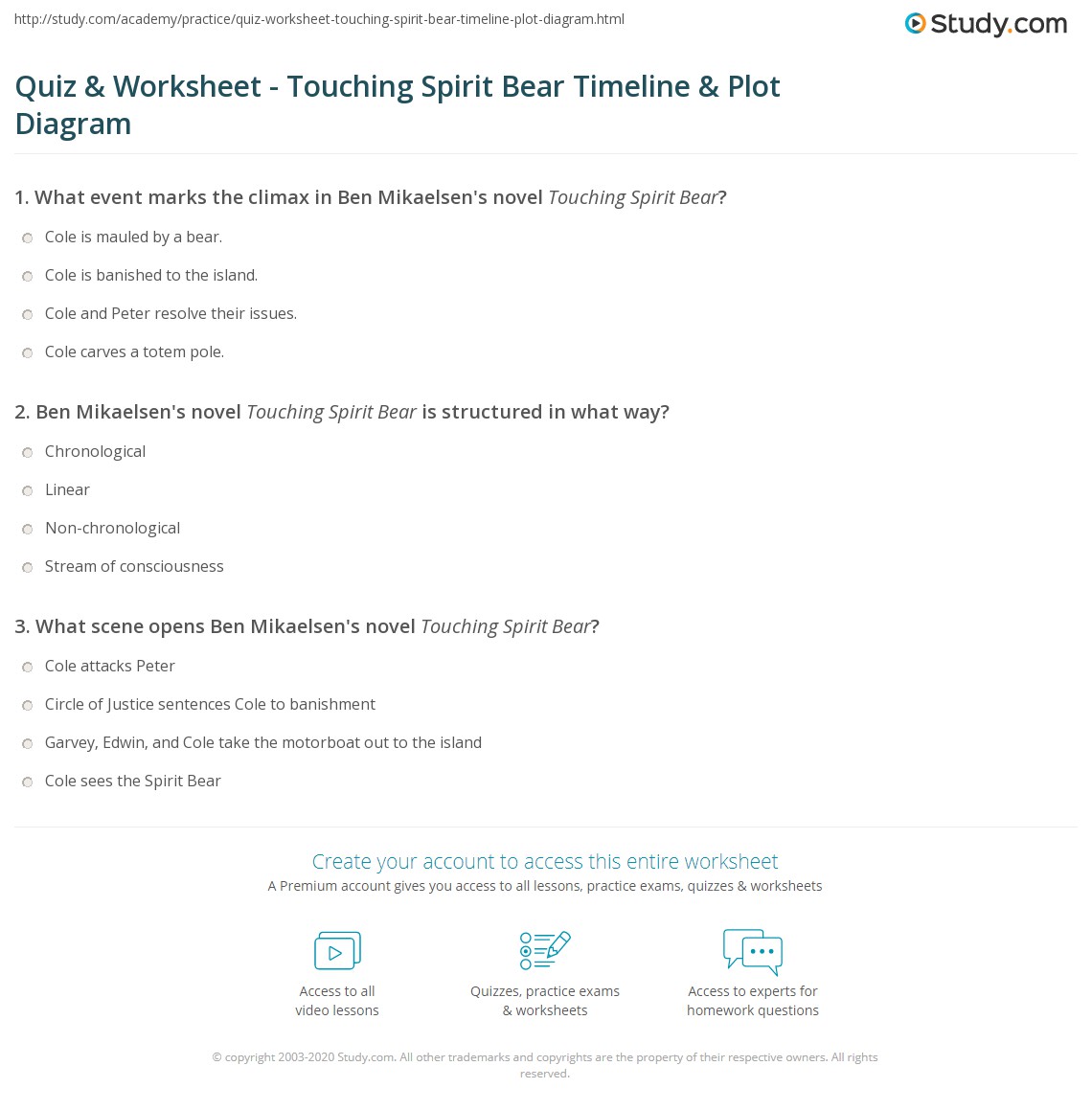 Quiz & Worksheet - Touching Spirit Bear Timeline & Plot Diagram | Study.com