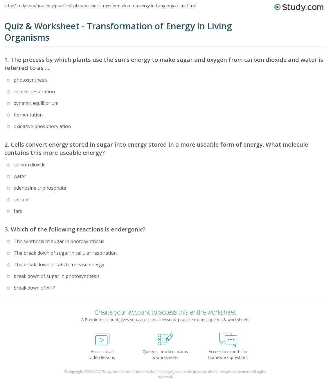 Worksheet Energy Transformation Worksheet Answers Grass Fedjp 