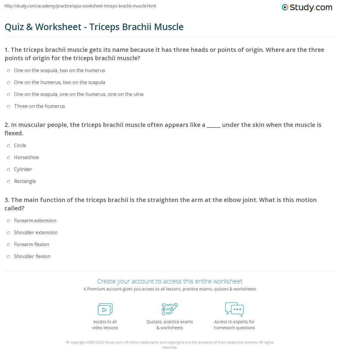Quiz & Worksheet - Triceps Brachii Muscle | Study.com