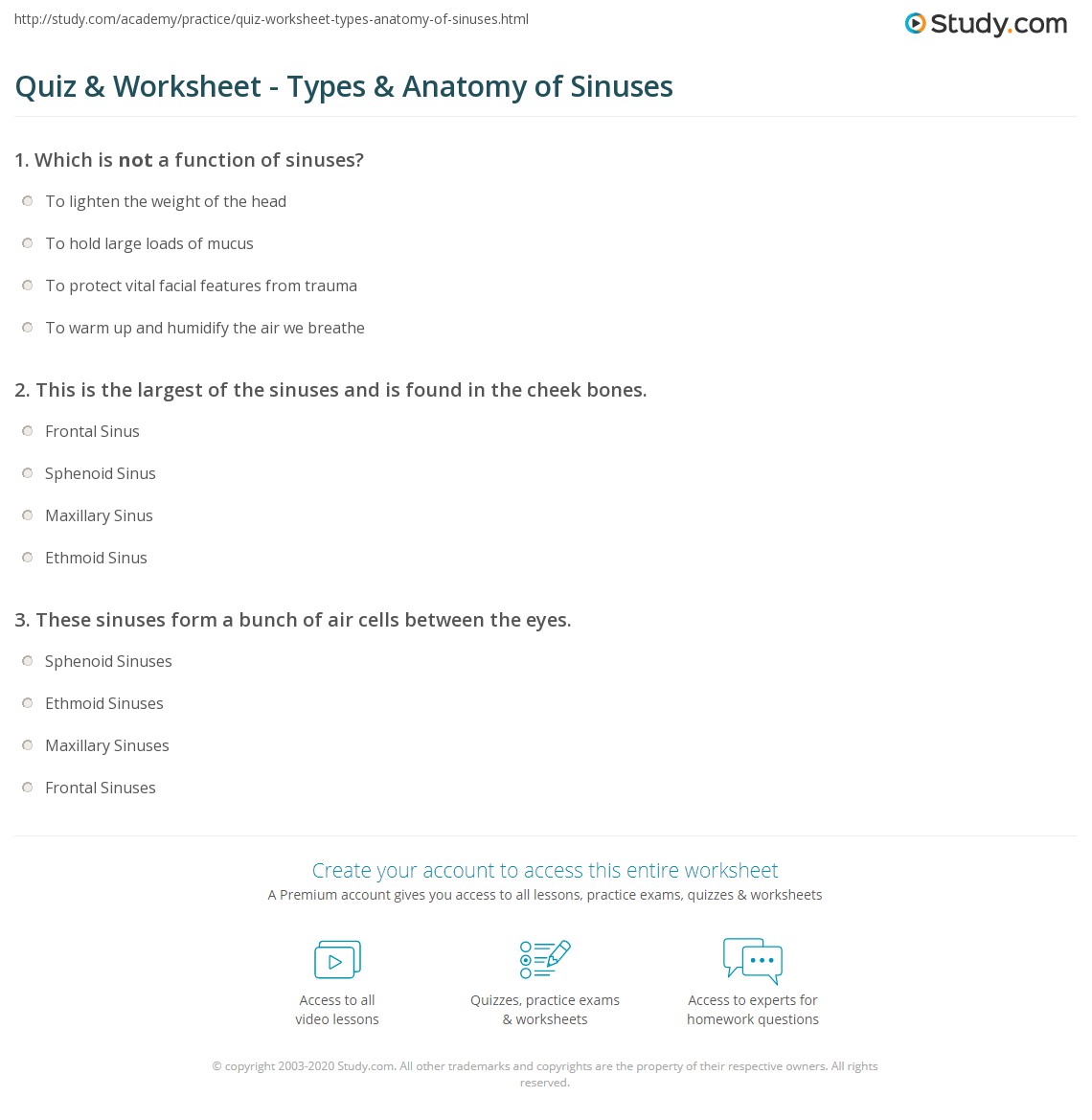 Quiz & Worksheet - Types & Anatomy of Sinuses | Study.com
