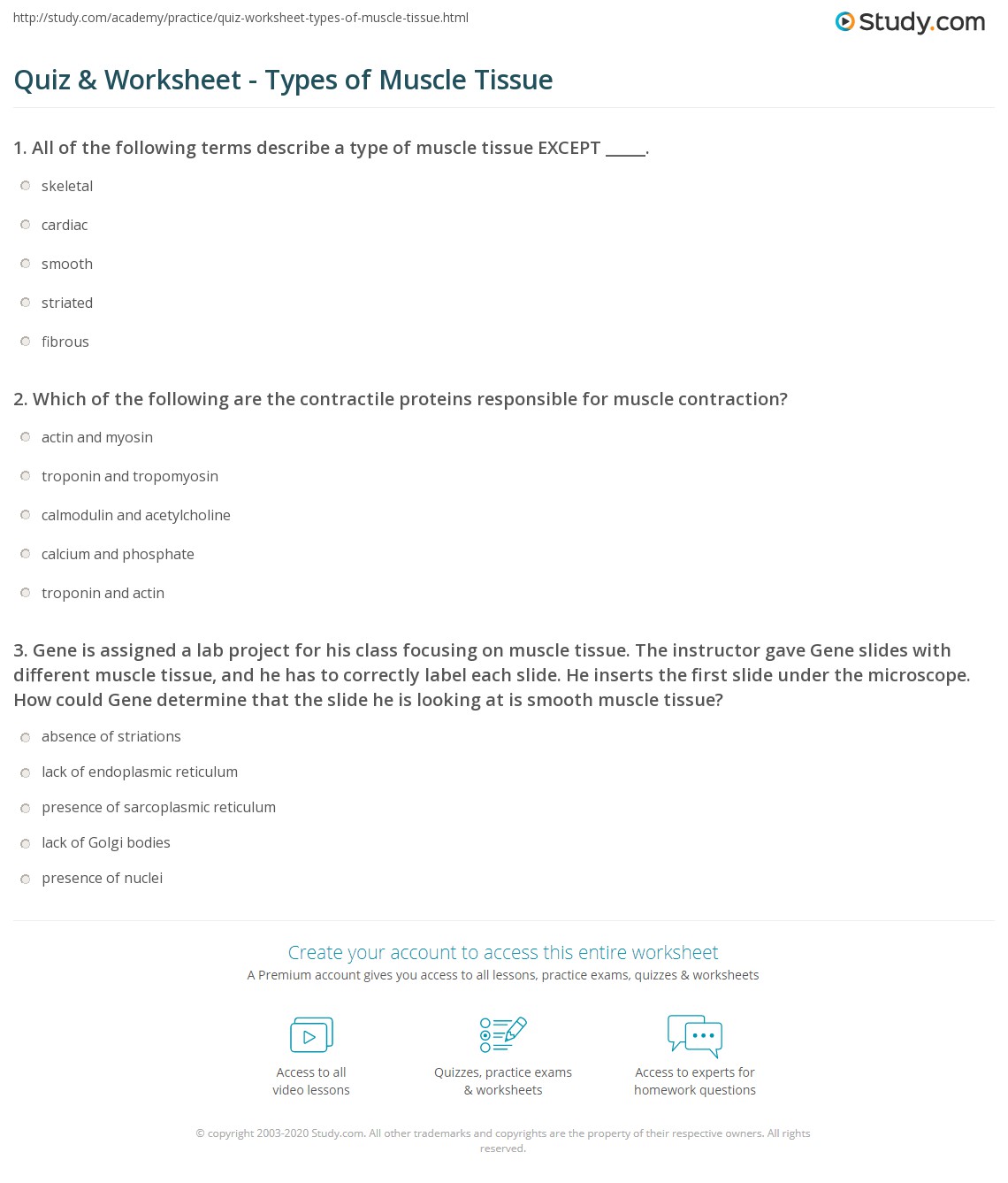Quiz Worksheet Types Of Muscle Tissue Study Quiz Worksheet Types Of Muscle Tissue Study