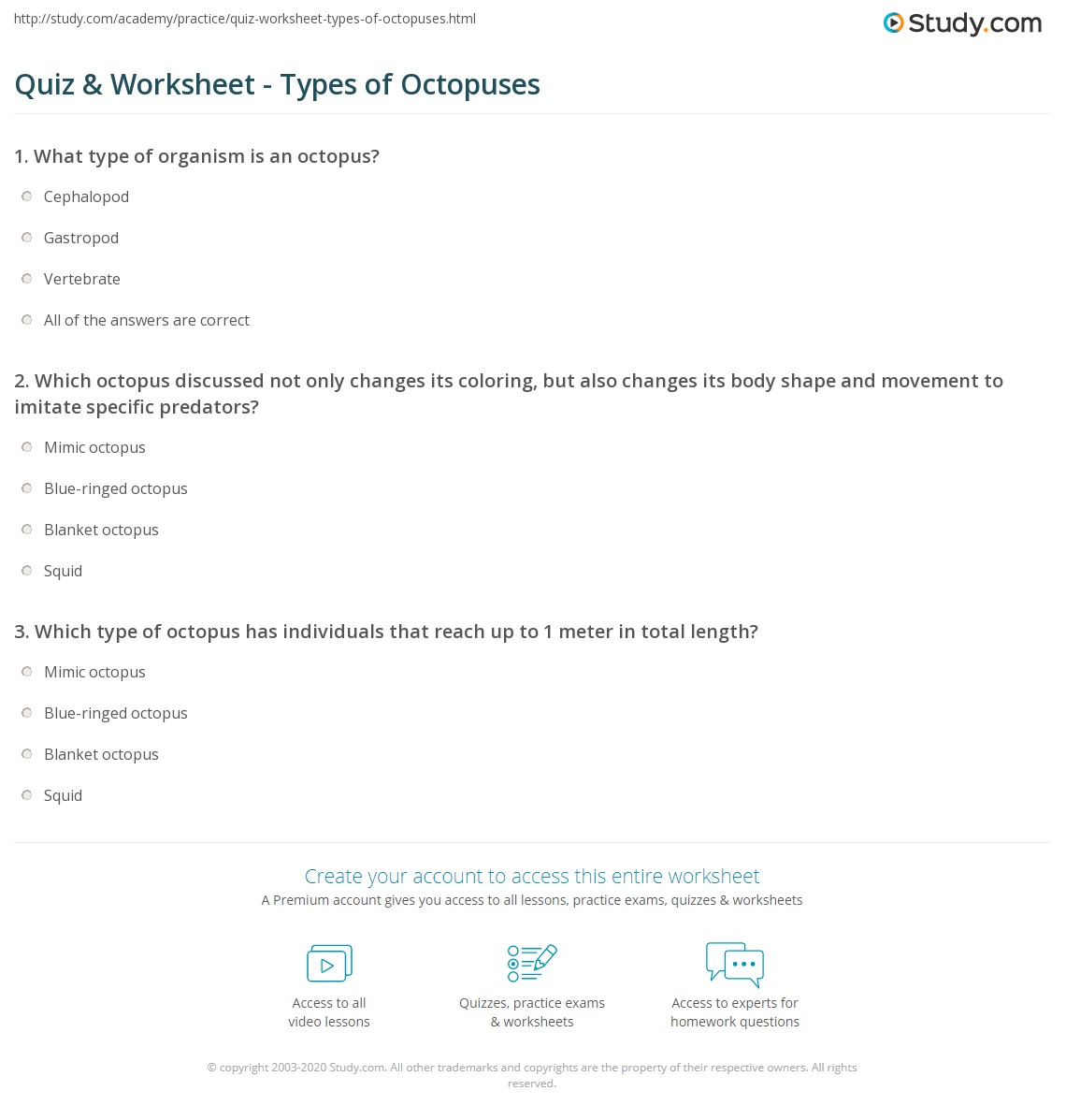 Quiz & Worksheet - Types of Octopuses | Study.com