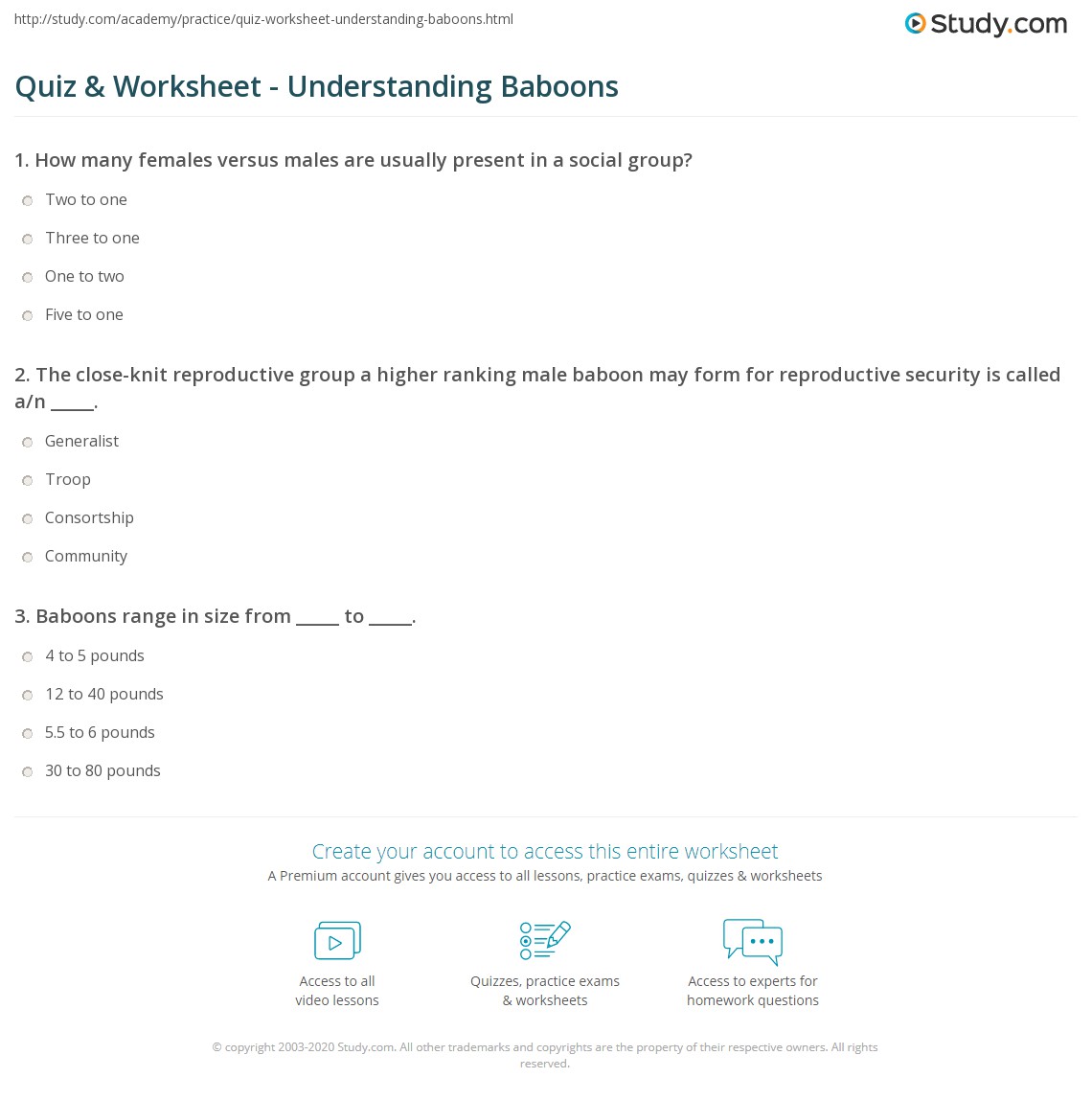Quiz & Worksheet - Understanding Baboons | Study.com
