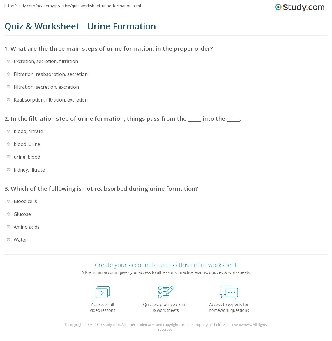 Quiz & Worksheet - Urine Formation | Study.com